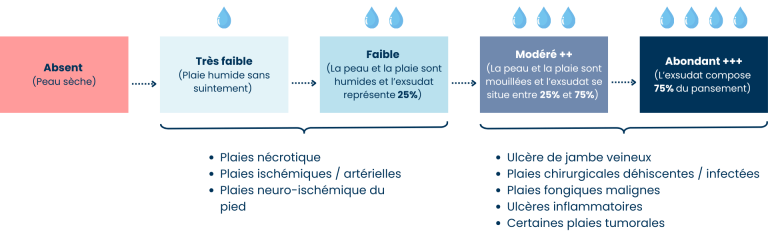 Prise en charge des plaies exsudatives : les bons réflexes